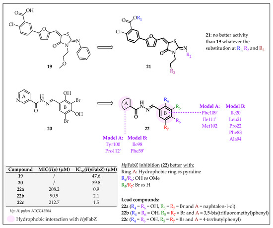 A Review of Fatty Acid Biosynthesis Enzyme Inhibitors as Promising ...