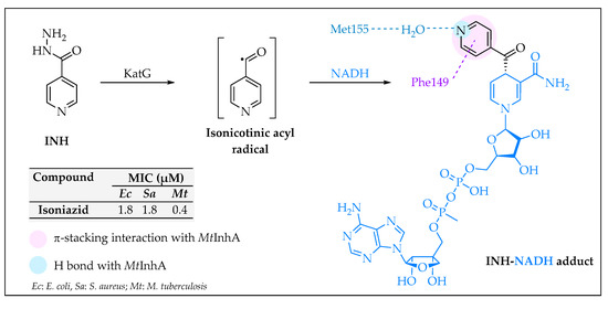 A Review of Fatty Acid Biosynthesis Enzyme Inhibitors as Promising ...