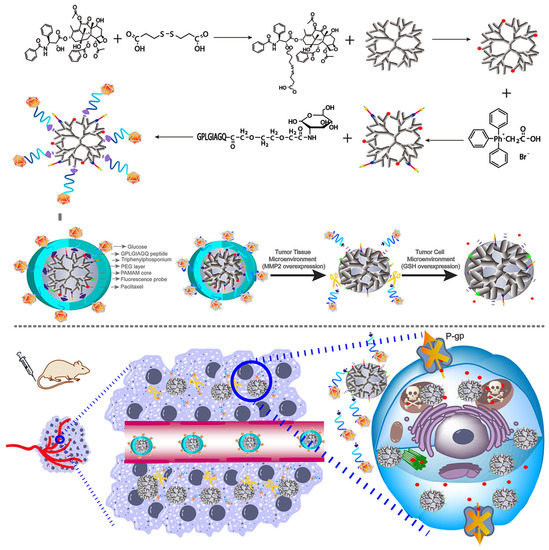 Exploring the Application of Micellar Drug Delivery Systems in Cancer ...