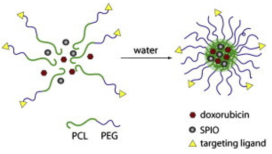 Exploring the Application of Micellar Drug Delivery Systems in Cancer ...