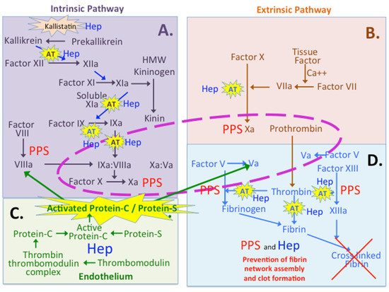 Pentosan Polysulfate Affords Pleotropic Protection to Multiple Cells ...