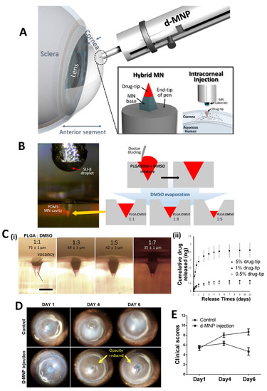 Pharmaceuticals | Free Full-Text | Application of Convergent Science ...
