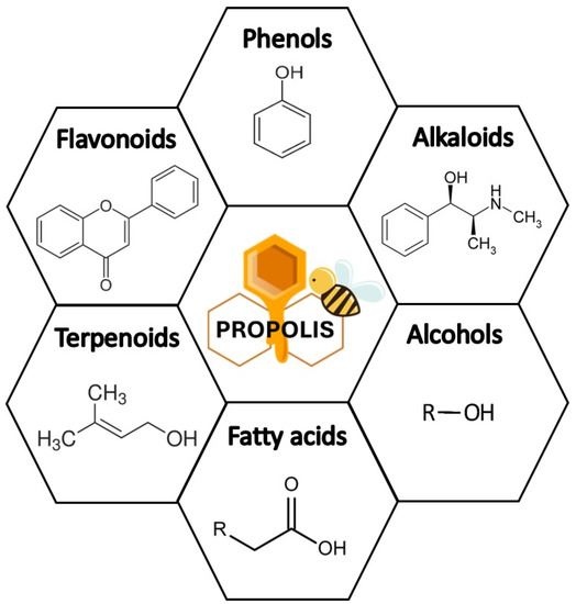 Propolis: A Detailed Insight of Its Anticancer Molecular Mechanisms