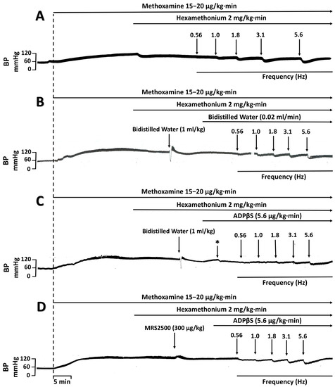 Pharmacological Profile of the Purinergic P2Y Receptors That Modulate ...