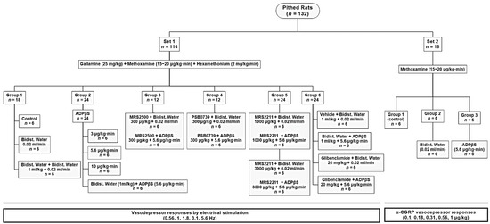 Pharmaceuticals | Free Full-Text | Pharmacological Profile of the ...