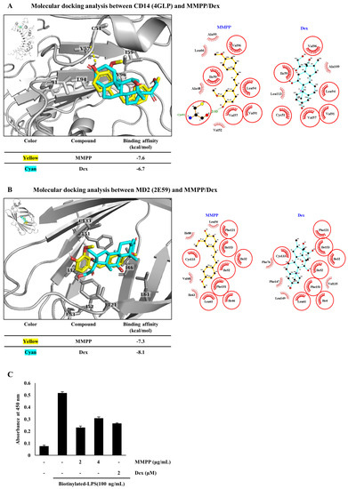 MMPP Exerts Anti-Inflammatory Effects by Suppressing MD2-Dependent NF ...