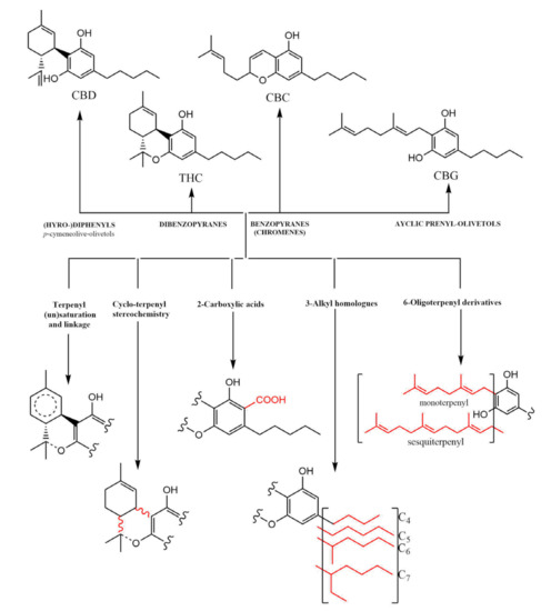 Cannabidiol-Loaded Nanocarriers and Their Therapeutic Applications