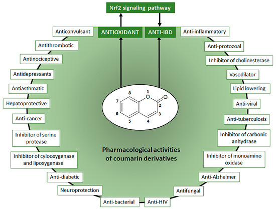 Natural Coumarin Derivatives Activating Nrf2 Signaling Pathway as Lead ...