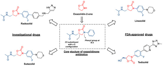 Antibacterial Properties and Computational Insights of Potent Novel ...