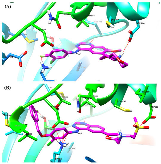 Structure–Activity Relationship Studies Based on Quinazoline ...