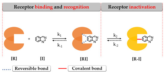 Structure–Activity Relationship Studies Based on Quinazoline ...
