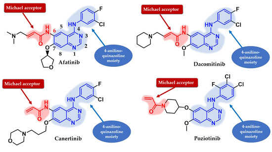 Structure–Activity Relationship Studies Based on Quinazoline ...