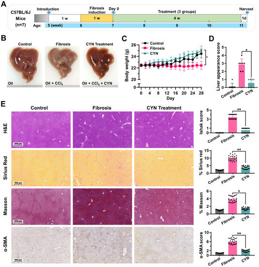 Inhibition of FGFR2 Signaling by Cynaroside Attenuates Liver Fibrosis