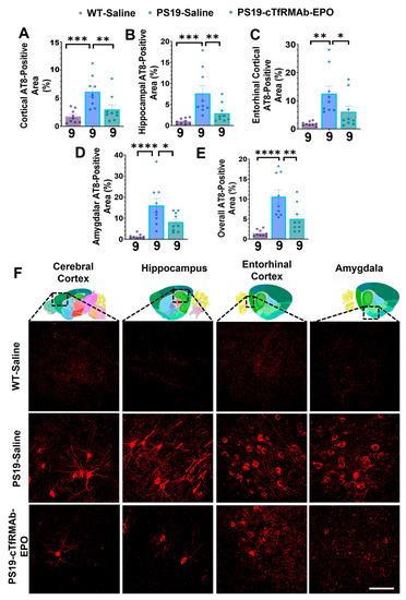 The Effects of a Blood–Brain Barrier Penetrating Erythropoietin in a ...