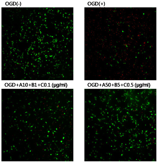 A Comparative Study on the Neuroprotective Effect of Geopung ...