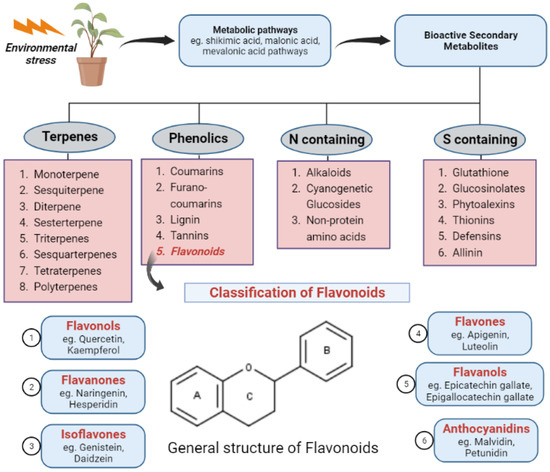 The Role of Natural Flavonoids as Telomerase Inhibitors in Suppressing ...