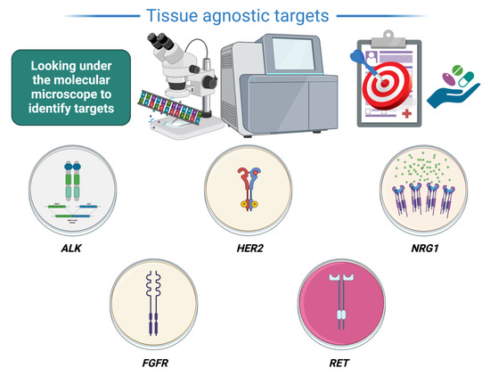 Agnostic Approvals in Oncology: Getting the Right Drug to the Right ...