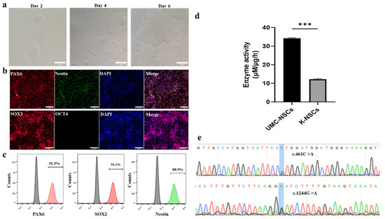 rAAV2-Mediated Restoration of GALC in Neural Stem Cells from Krabbe ...