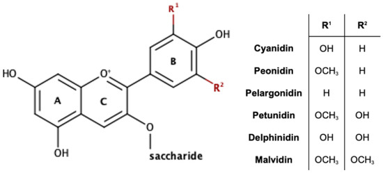 Pharmacological Activities and Chemical Stability of Natural and ...