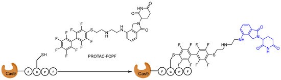Recent Advances in Covalent Drug Discovery