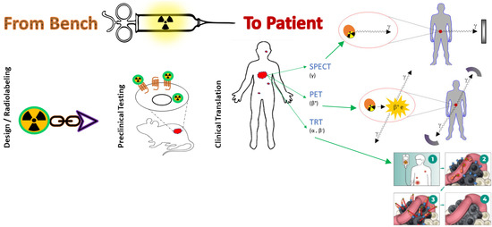 Peptide Radioligands in Cancer Theranostics: Agonists and Antagonists