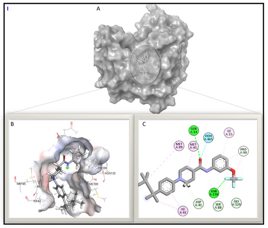 Design, Synthesis and Biological Evaluation of Novel MDH Inhibitors ...