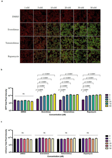 Engineering Rapalog-Inducible Genetic Switches Based on Split-T7 ...