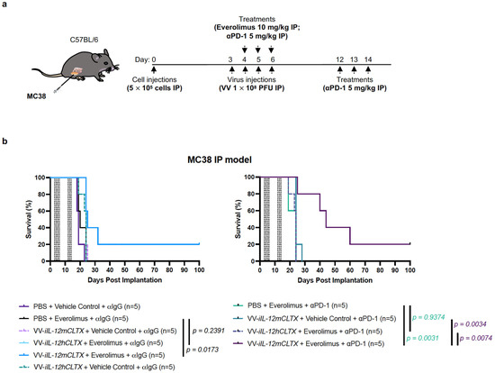 Engineering Rapalog-Inducible Genetic Switches Based on Split-T7 ...