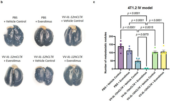 Engineering Rapalog-Inducible Genetic Switches Based on Split-T7 ...