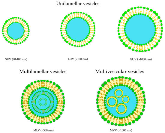 The Therapeutic Potential of Novel Carnosine Formulations: Perspectives ...