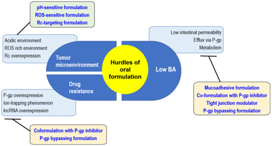 Recent Advances in Doxorubicin Formulation to Enhance Pharmacokinetics ...