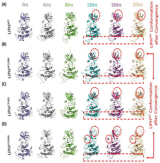In Silico Characterization and Analysis of Clinically Significant ...
