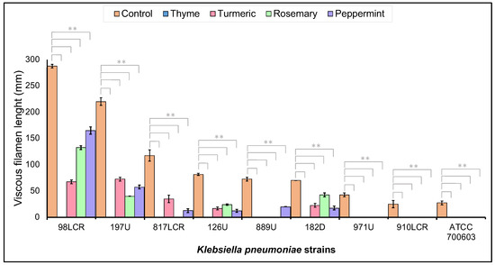 Synergy of Plant Essential Oils in Antibiotic Therapy to Combat ...