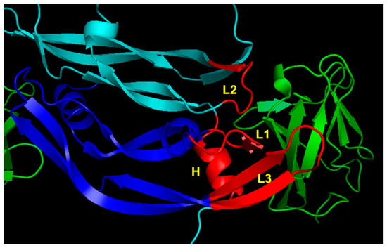 Structure-Based Design of Peptides Targeting VEGF/VEGFRs