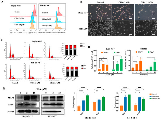 Chlorogenic Acid Induced Neuroblastoma Cells Differentiation via the ...