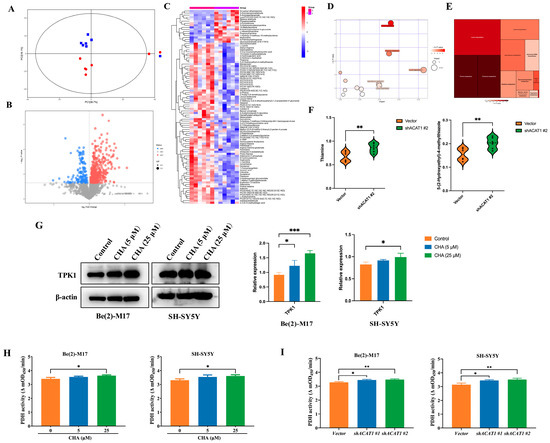 Chlorogenic Acid Induced Neuroblastoma Cells Differentiation via the ...