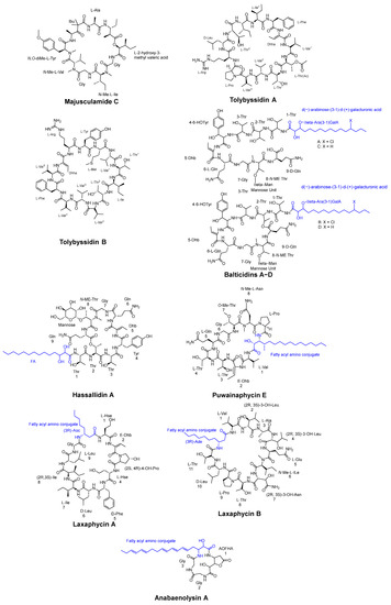 Cyclic Peptides with Antifungal Properties Derived from Bacteria, Fungi, Plants, and Synthetic ...