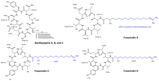 Cyclic Peptides with Antifungal Properties Derived from Bacteria, Fungi ...