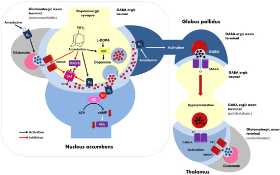 Amantadine in Treatment of Dysthymia—The Pilot Case Series Study