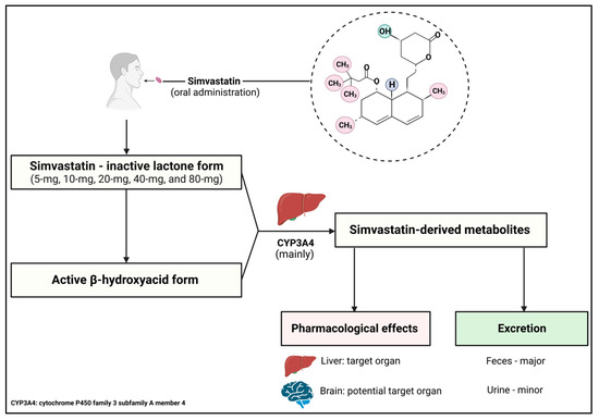 The Potential Therapeutic Application of Simvastatin for Brain ...