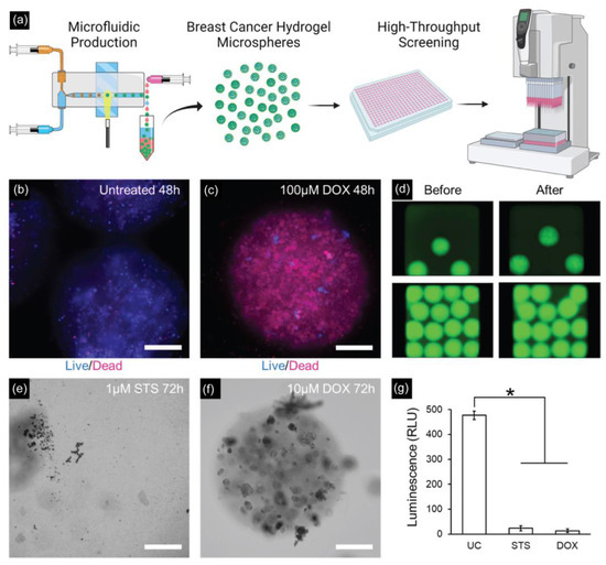 Pharmaceuticals | Free Full-Text | Droplet-Based Microfluidics ...