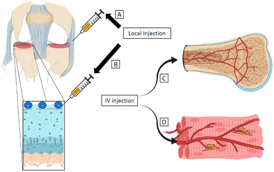 Smart Strategies to Overcome Drug Delivery Challenges in the ...