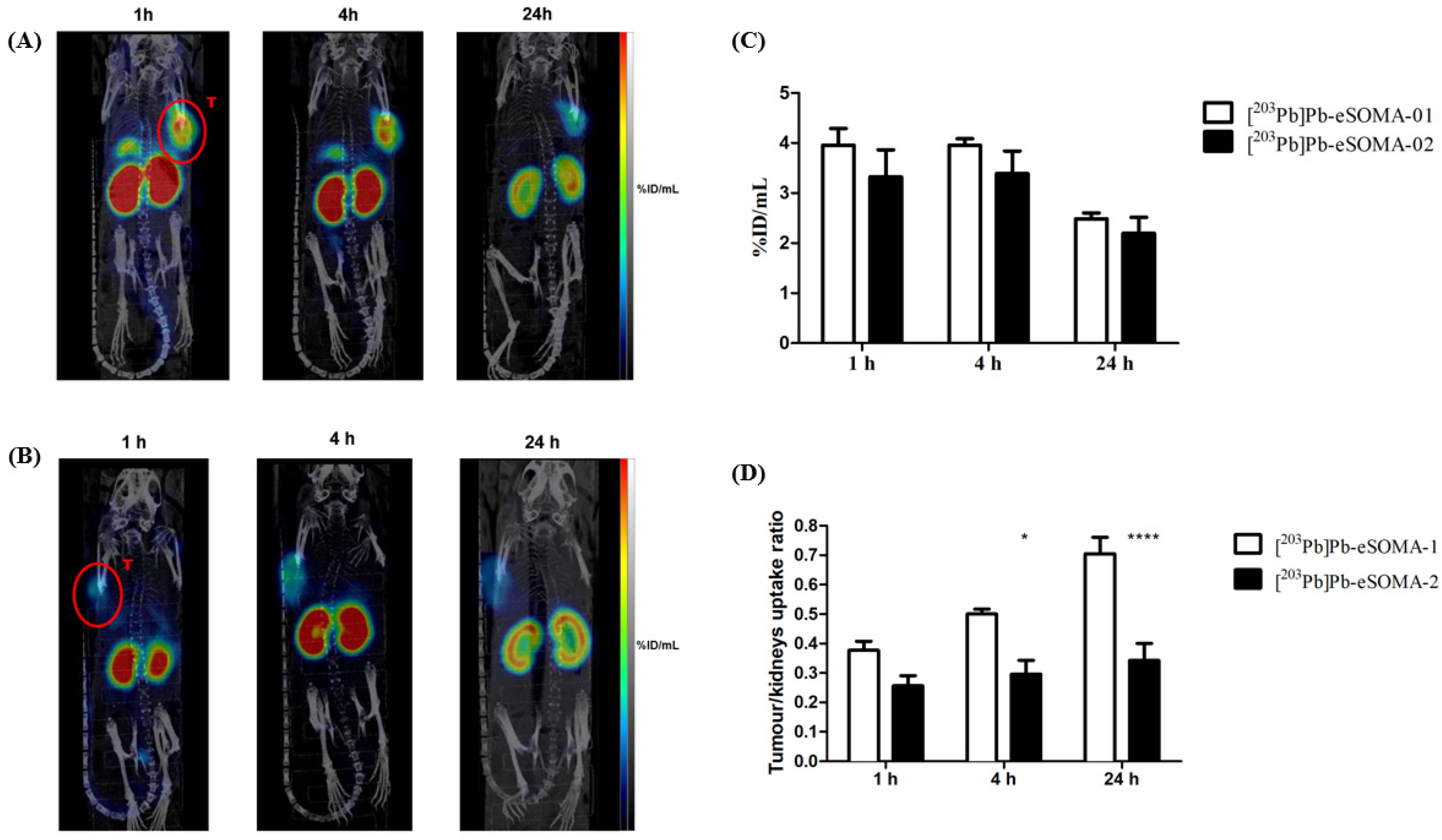 [212Pb]Pb-eSOMA-01: A Promising Radioligand for Targeted Alpha Therapy ...