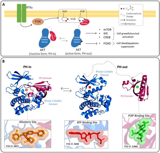Computer-Aided Identification of Kinase-Targeted Small Molecules for ...