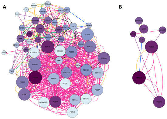 Exploring the Molecular Targets for the Antidepressant and Antisuicidal ...