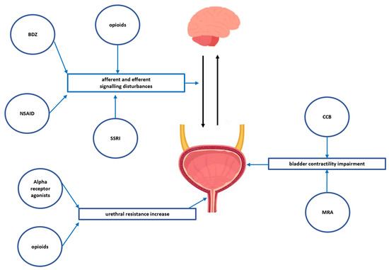 Lower Urinary Tract Disorders as Adverse Drug Reactions—A Literature Review