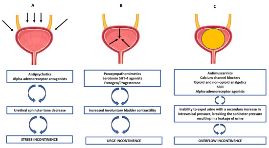 Lower Urinary Tract Disorders as Adverse Drug Reactions—A Literature Review