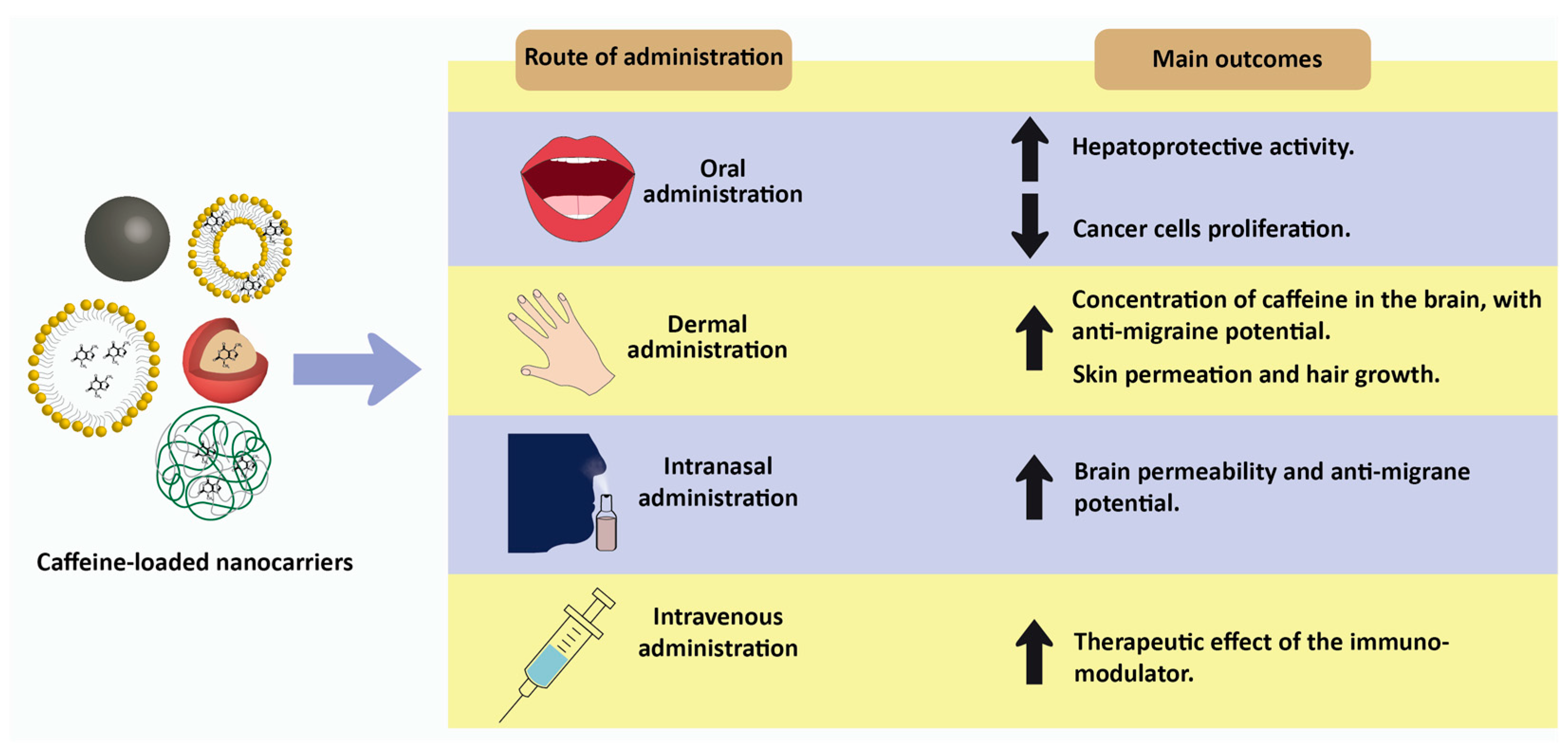 Overview Of Caffeine Effects On Human Health And Emerging Delivery