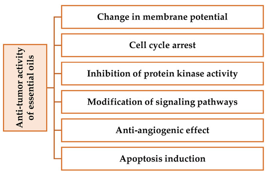 Exploring the Potent Anticancer Activity of Essential Oils and Their ...