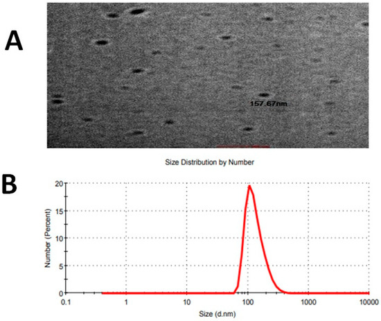 Formulation and Evaluation of Plumbagin-Loaded Niosomes for an ...